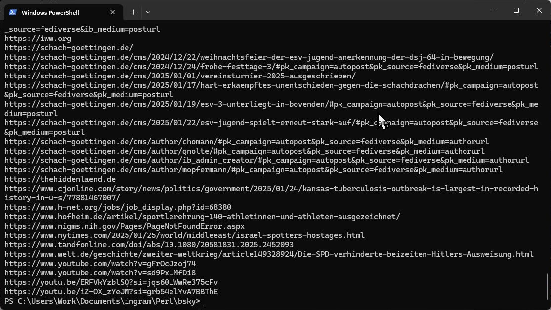The bsky-docker script | Ingram Braun